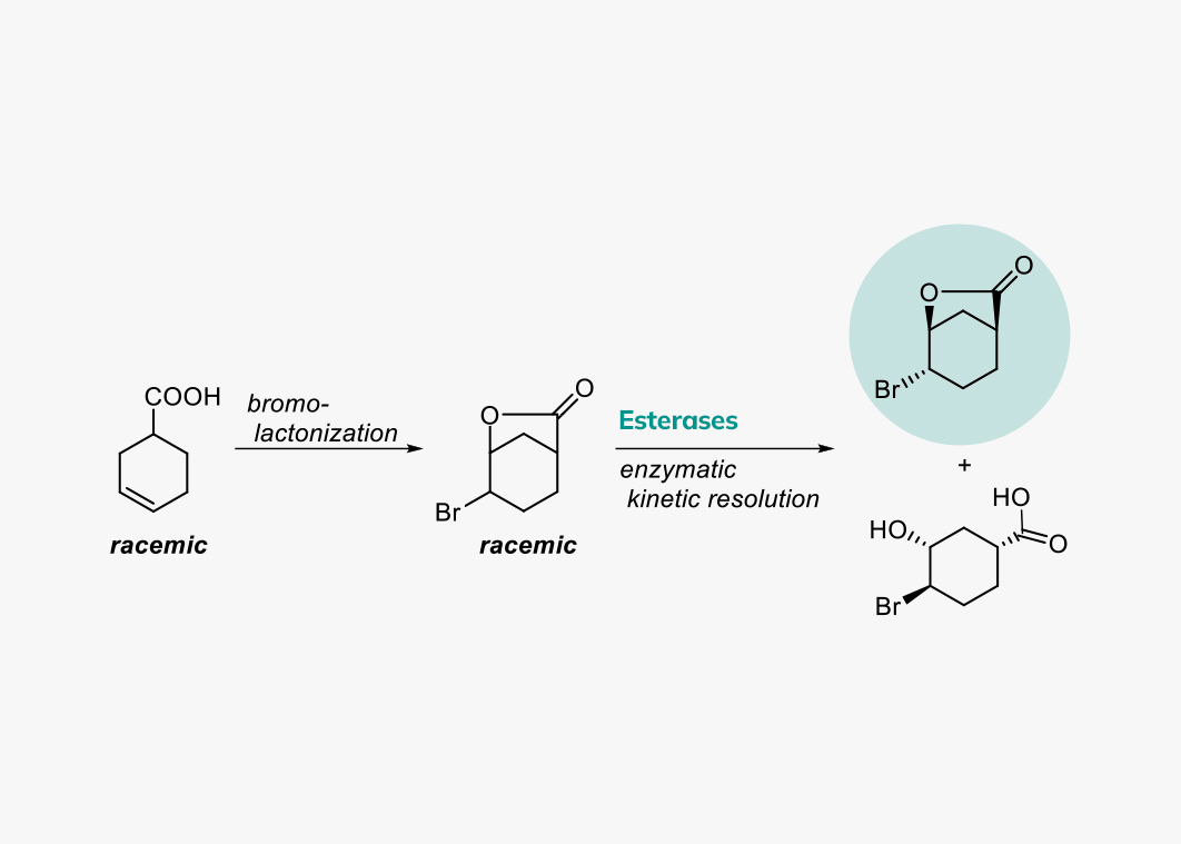 Green Chemistry Enzymes & Biocatalysis Solutions-Amano Enzyme Inc.